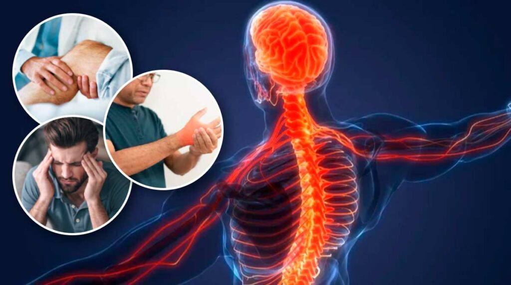 Síndrome de Guillain-Barré: Comprendiendo una Enfermedad Neurológica ...